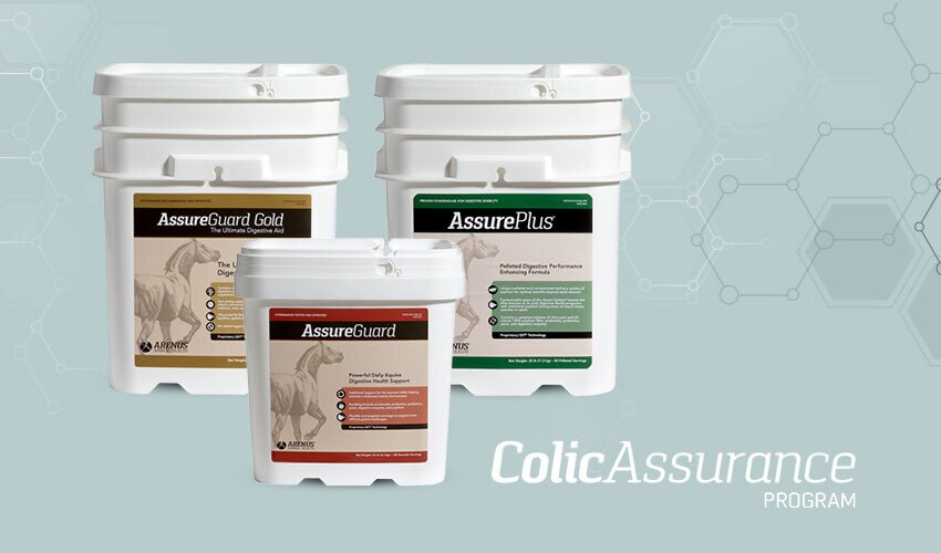 FarmVet: Horse Health & Equine Pharmaceuticals