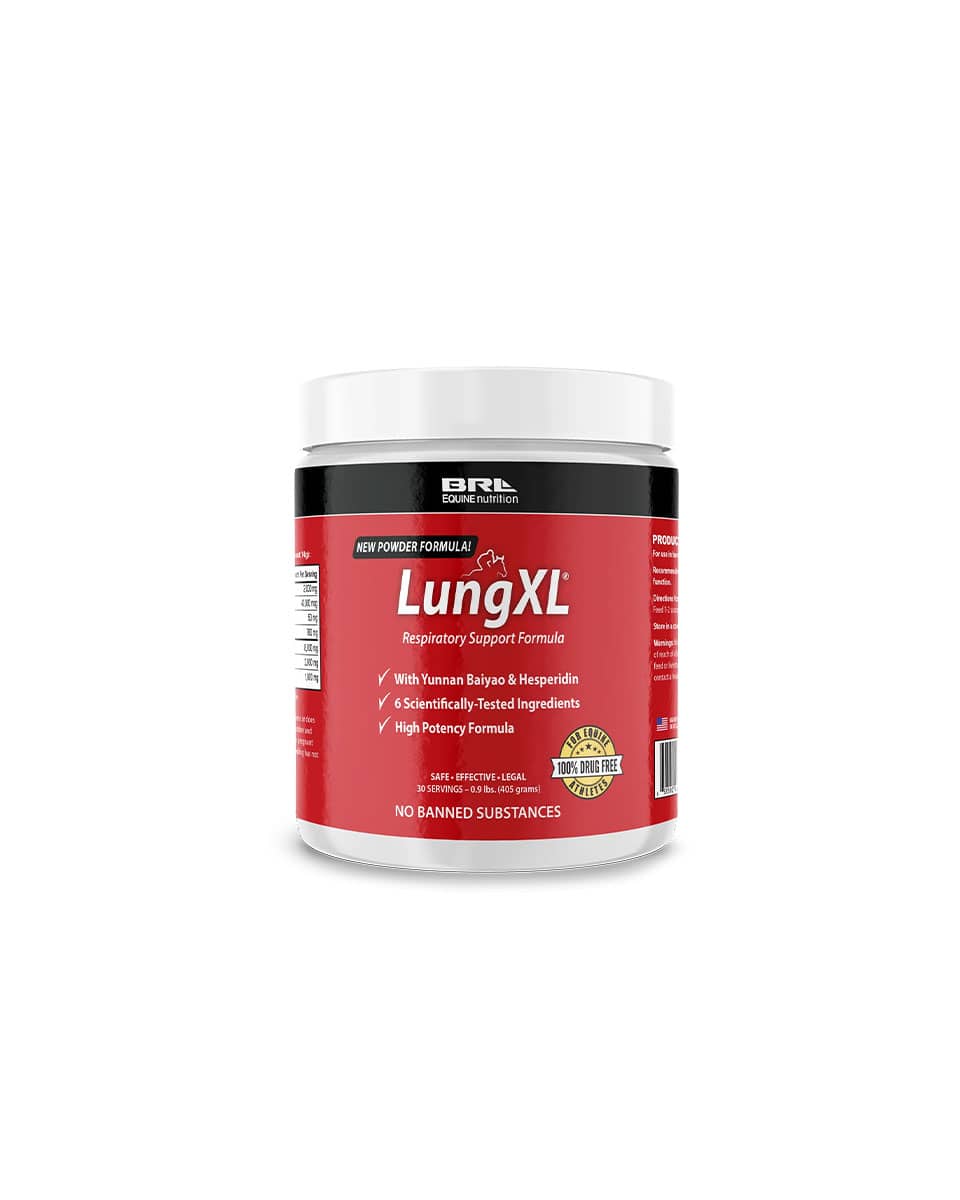 Equine LungXL Powder - Biomedical Research Labs | FarmVet