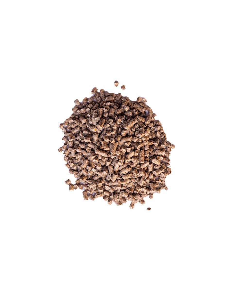 Hindgut Stabilizer Pellets - Farnam | FarmVet
