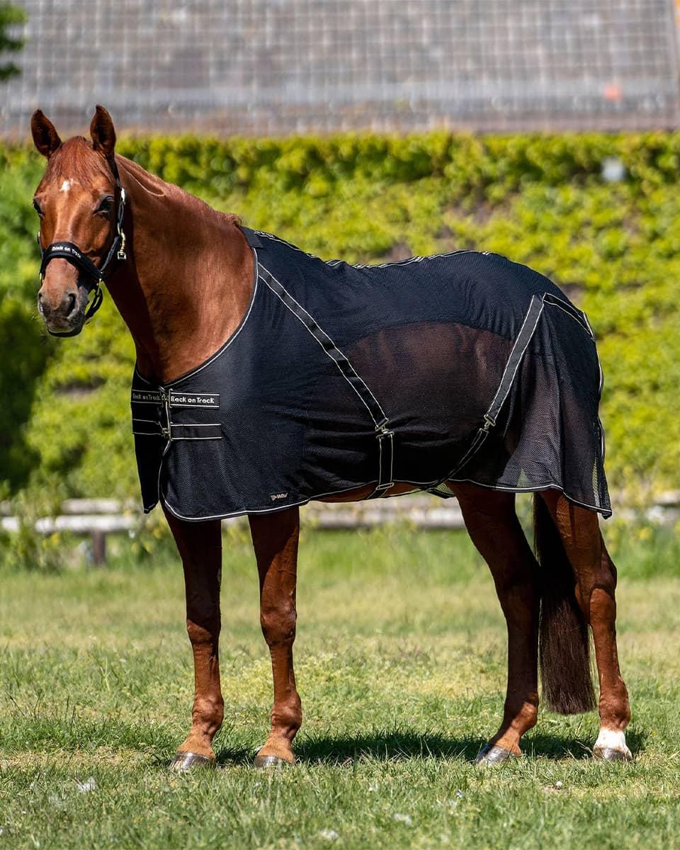 Sienna Mesh Sheet - Back On Track | FarmVet