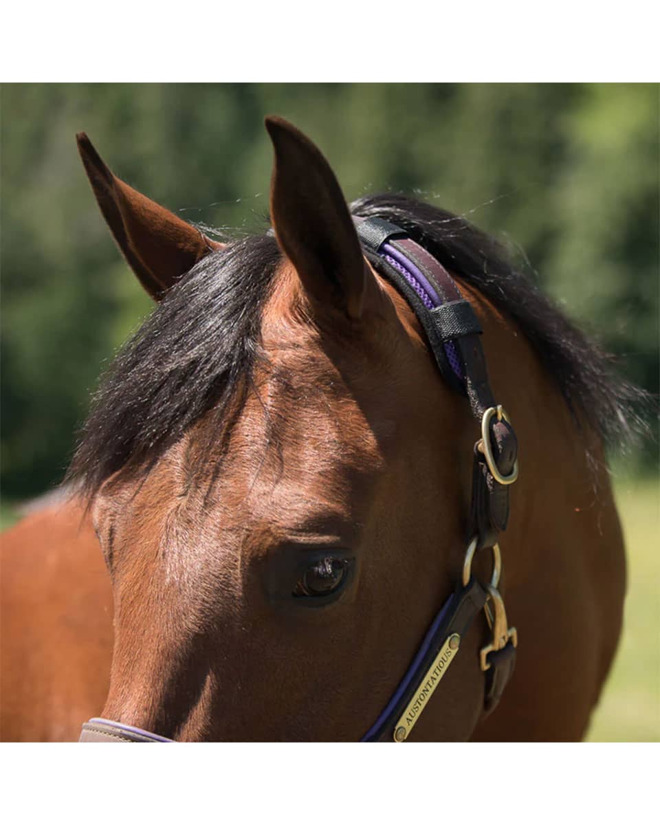 Smart Therapeutic Poll Pad - Benefab | FarmVet