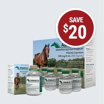 FarmVet: Horse Health & Equine Pharmaceuticals